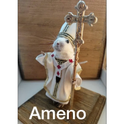 Ameno, dorime! - Administração - L2JBrasil - A Maior e mais antiga ...